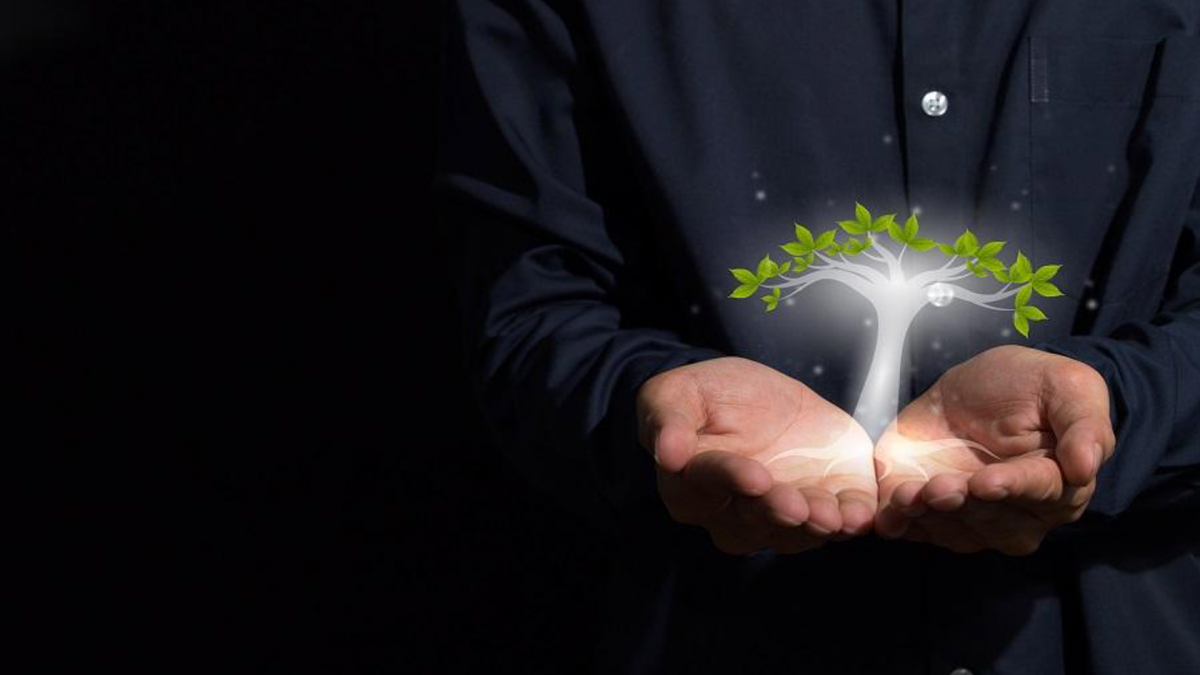 Sustainability Steps Businesses can take Today for a Greener Tomorrow ...