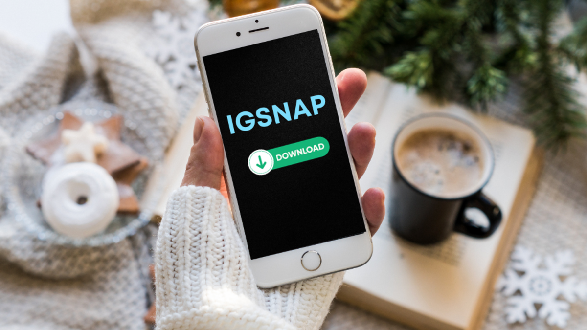 Igsnap: Redefining Instagram Interaction for Android Users - DataFileHost